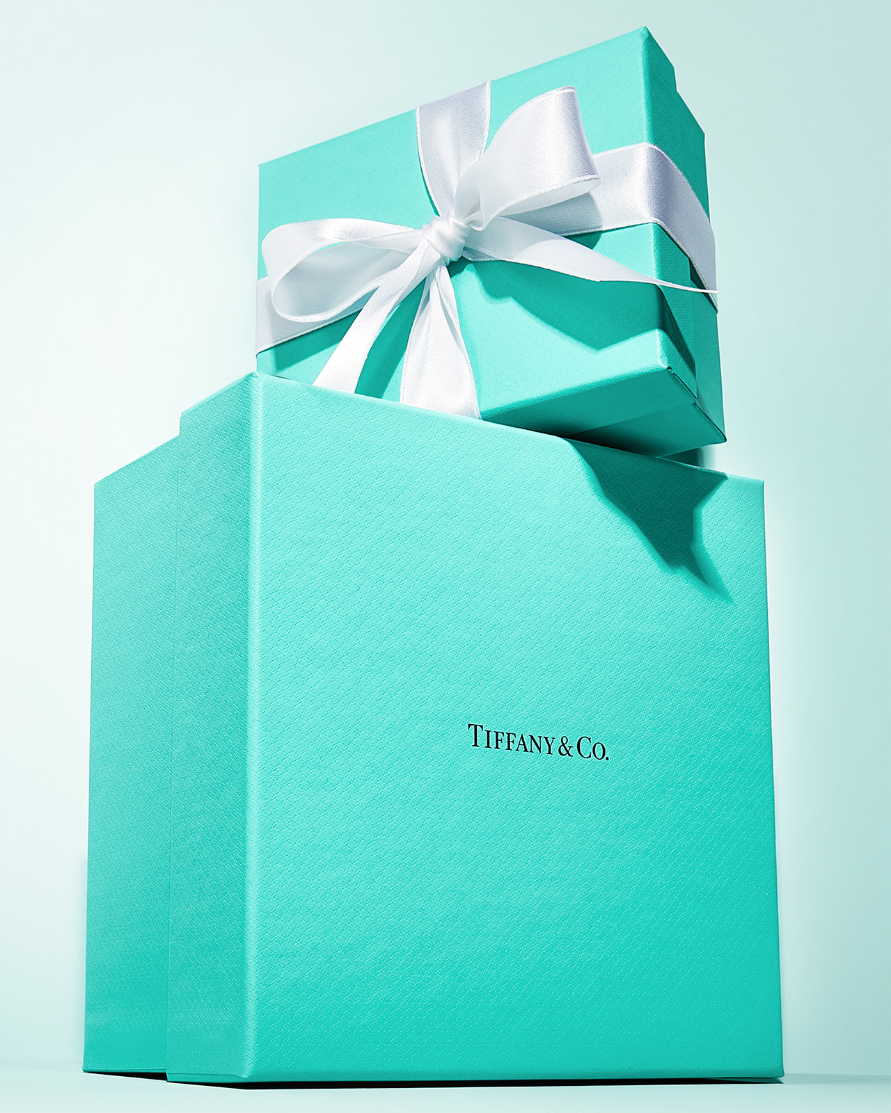 Anillos | Tiffany & Co. España